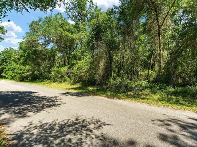 905 E Abend Dr, Dunnellon, FL 34434