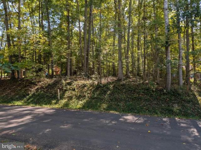 905 Eastover Pkwy, Locust Grove, VA 22508 | MLS #VAOR2008