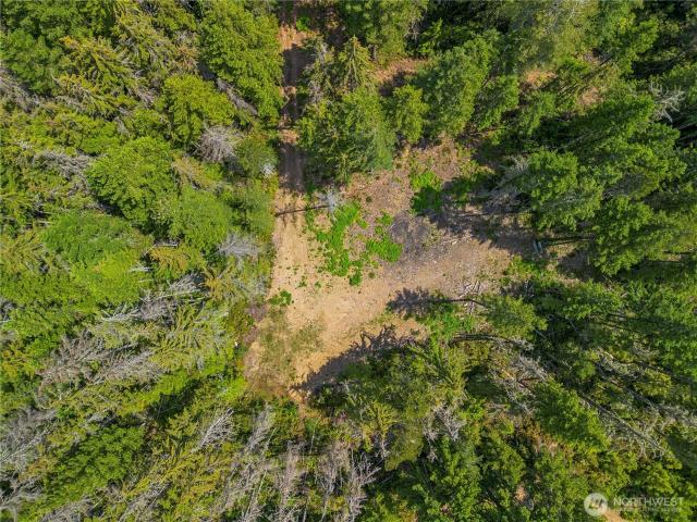 905 NE Tahuya Blacksmith Rd, Tahuya, WA 98588 | MLS #2495 | Compass