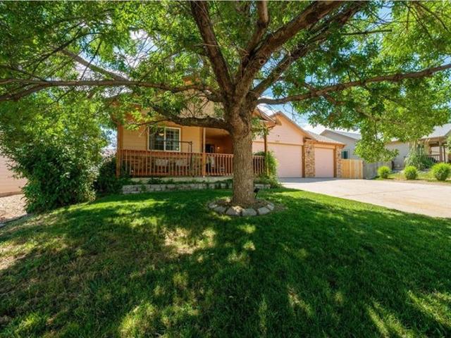 905 Scotch Pine Dr, Severance, CO 80550