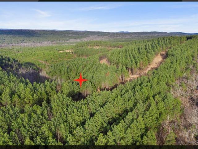 905 Timberline Trail