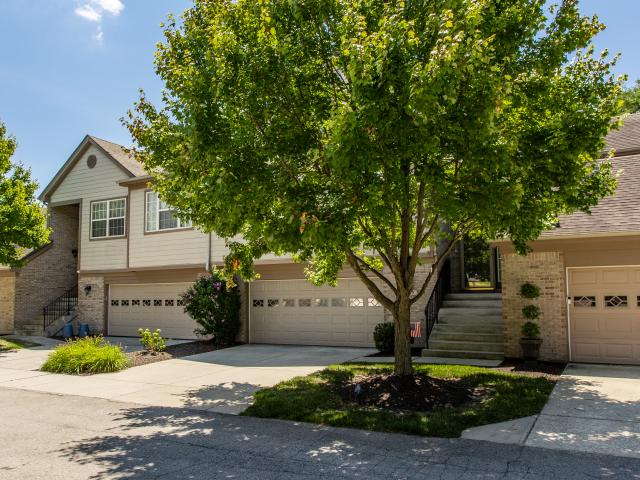 9075 Alcott Court