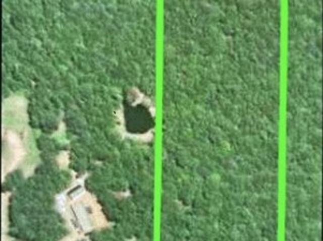 9072 Tyson Rd, Rodessa, LA 71069