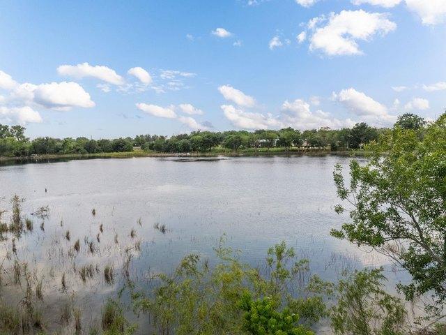 907 Horace Howard Dr, San Marcos, TX 78666
