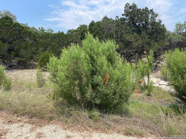 908 Serene, Spring Branch, TX 78070 | MLS #1948