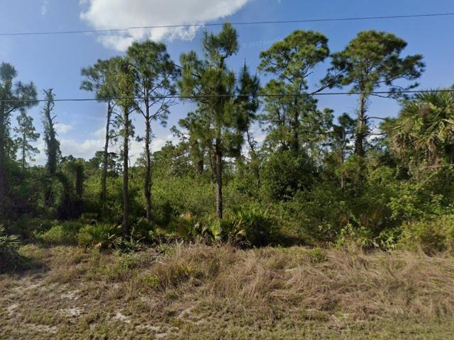 909 Butler St E, Lehigh Acres, FL 33974 | MLS #2025017