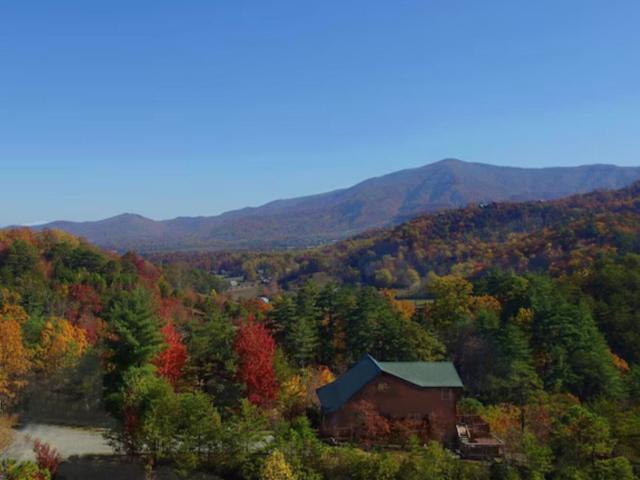 909 Fawn Hollow Tr