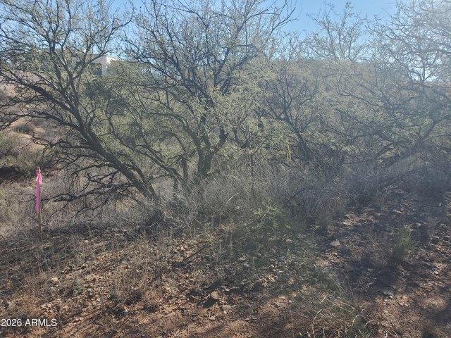 909 Paseo Los Mochis Unit 40, Rio Rico, AZ 85648