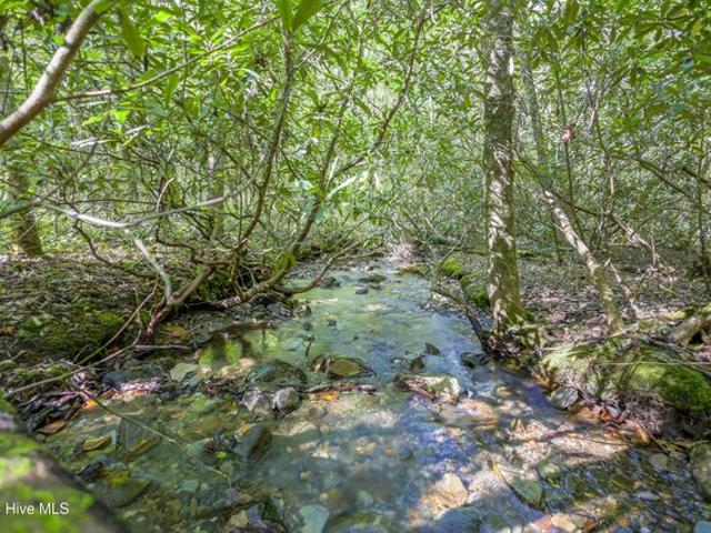 90 Ac Tree House Rd, Andrews, NC 28901
