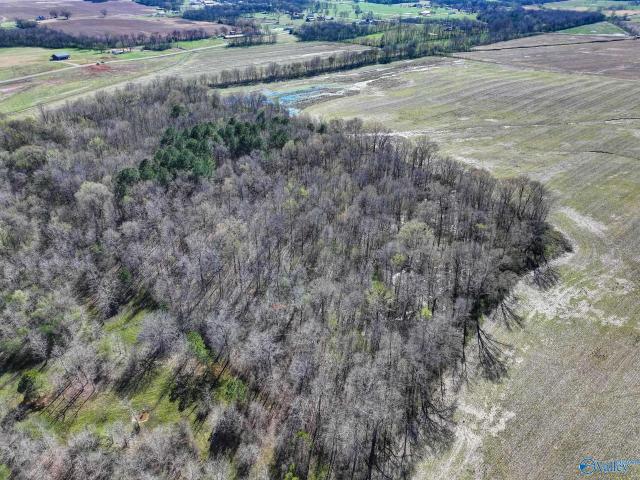 90 +/ ACRES County Road 39