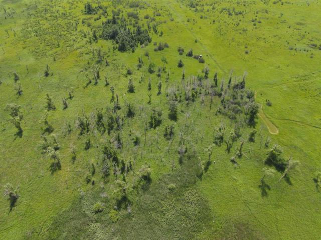 90 acres County Road CC