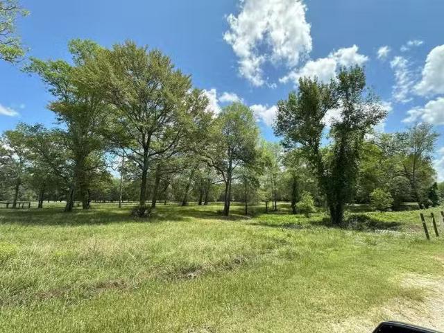 90 Carla Dr, Cleveland, TX 77327 MLS 78071274