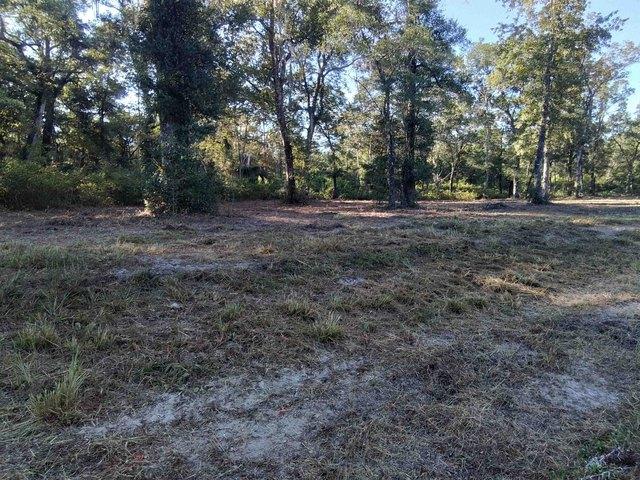 90 Coastal Hwy Lot 98, Crawfordville, FL 32327