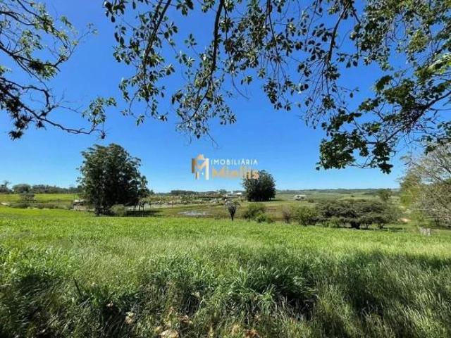 90 Hectares de frente para o asfalto em Viamão