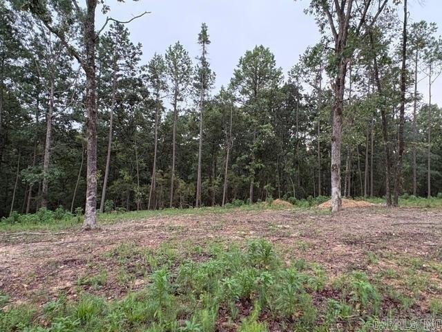 90 Parker Creek Rd, Murfreesboro, AR 71958