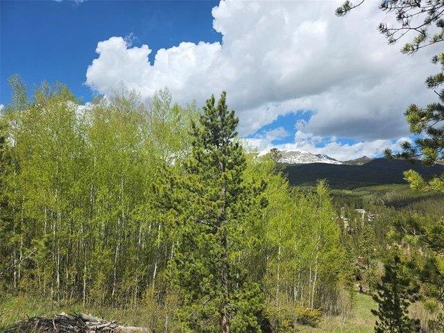 90 Shadows Dr Lot 10, Breckenridge, CO 80424
