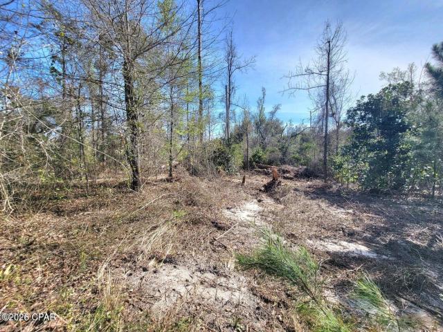 90 Sneads, FL 32460 | MLS #785462
