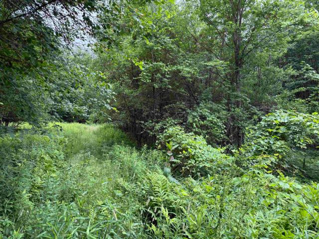 90 Stone Hill Road