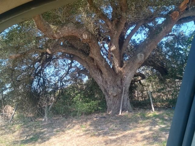 90a E/county146 Sublime Tx 77986, Columbus, TX 78934 | MLS #4481 | Compass