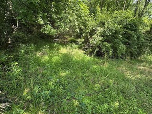 9108 Highway 20, Summertown, TN 38483