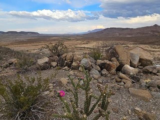 9108 Rocking L Ranch Rd, Terlingua, TX 79852