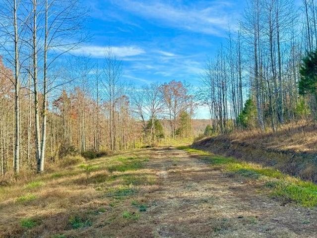 9108 5 Unit Tract, Liberty, KY 42539