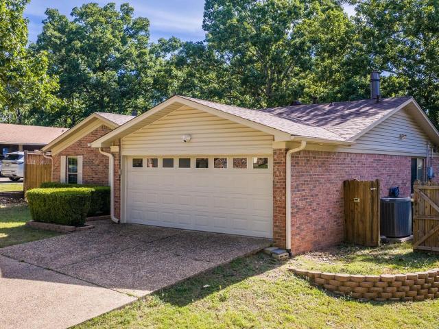 9100 peach tree
