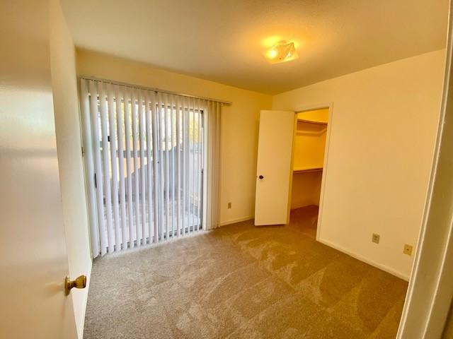 9101 Country Creek Drive 205