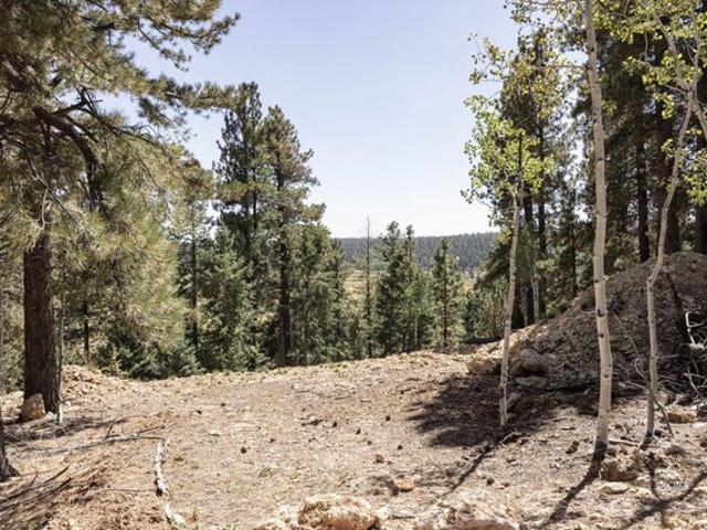 910 E Ridge Dr, Duck Creek Village, UT 84762