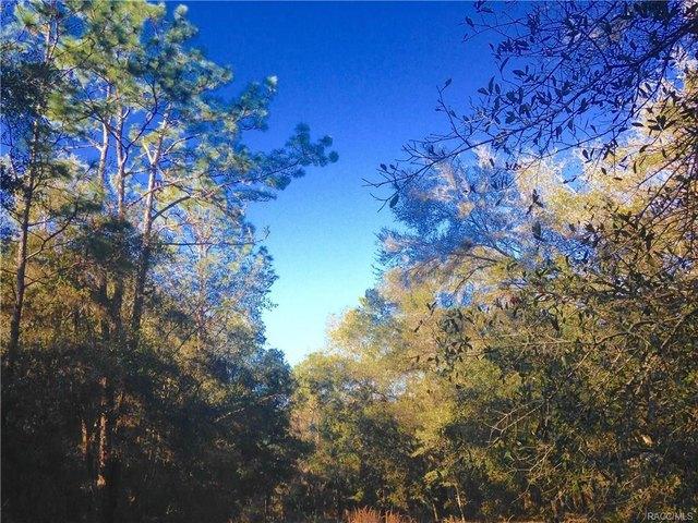910 Ferncreek Ave, Inverness, FL 34453