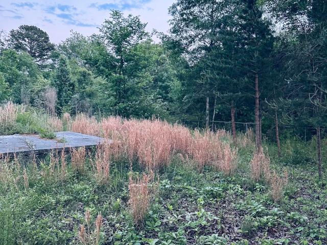 910 N Chattanooga St, LaFayette, GA 30728 | MLS #1533