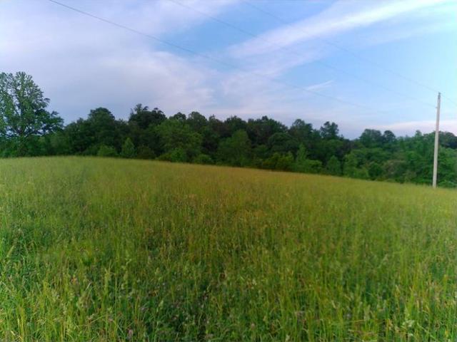 910 Social Band Rd, Campbellsville, KY 42718