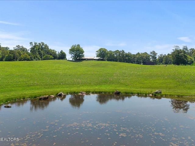 910 Reagan Valley Rd