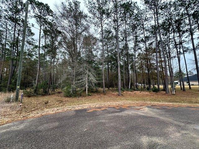 9115 Grizzly Dr, Kountze, TX 77625