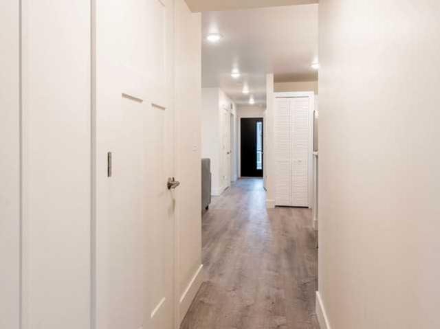 911 Main St. Ann Arbor, MI 1 Bedroom Apartment for Rent at 911 S Main St, Ann Arbor, MI 48104 South Main