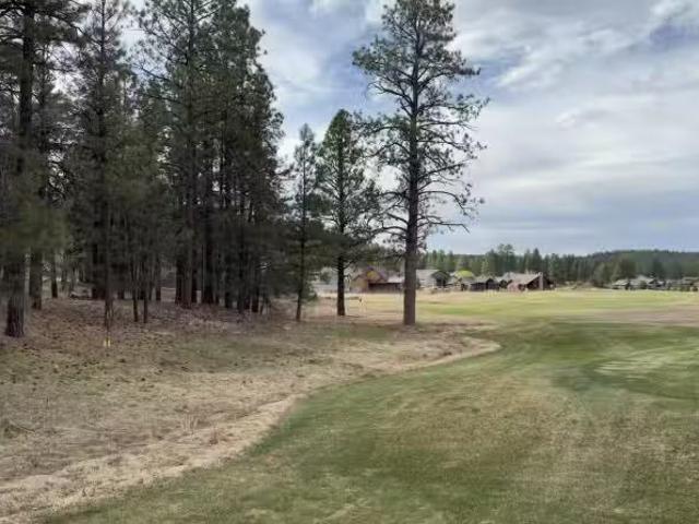 911 S Torrey Pines Dr, Williams, AZ 86046 MLS 200243