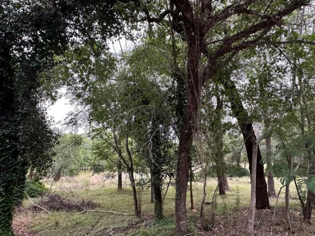 911 Penion Dr, Austin, TX 78748 | MLS #4089