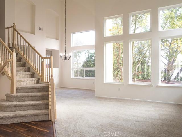 9124 Camphor Tree Court