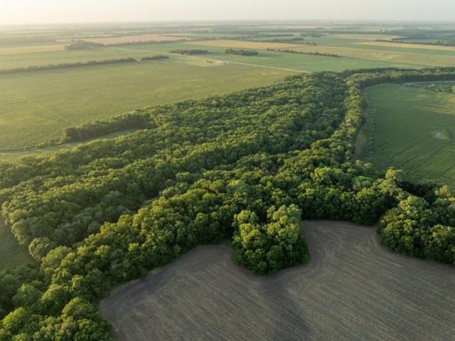 9122 NW 24th St, Halstead, KS 67056