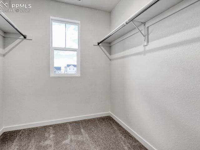 9130 Coal Cart Ln, Colorado Springs, CO 80908 | MLS #8998