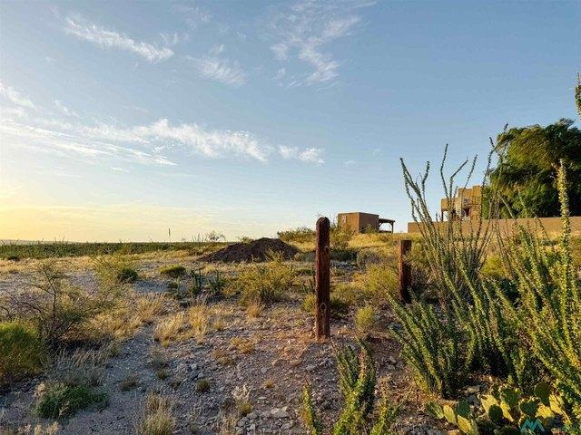 913 Miehls Dr, Carlsbad, NM 88220