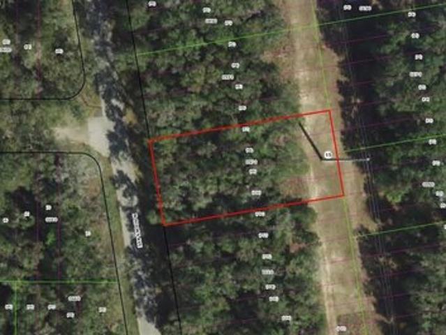 913 N Rooks Ave, Inverness, FL 34453