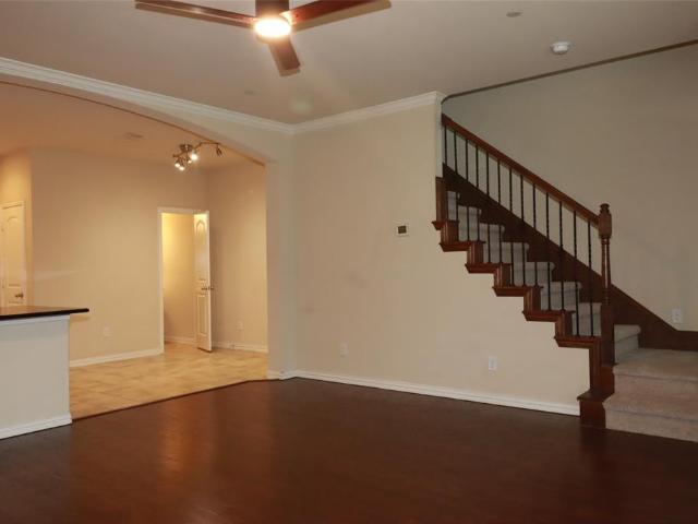 913 Shelby Lane