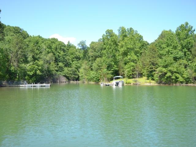 913 Paynes Creek Road