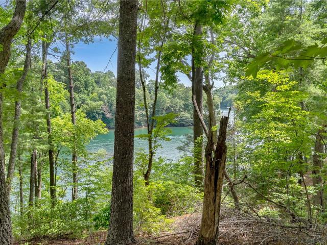 913 Rippling Water Way