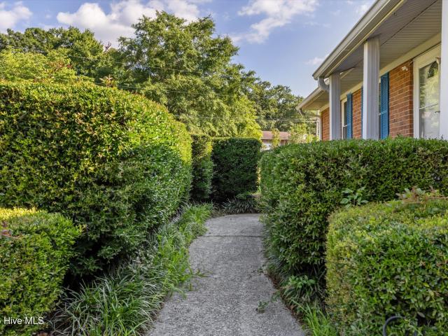 914 Sycamore Drive