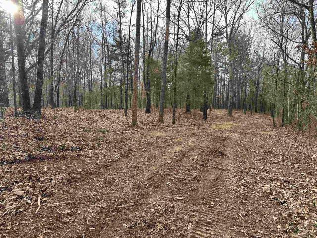 914 Park Swain Rd, Grand Junction, TN 38039 | MLS #10206 | Compass