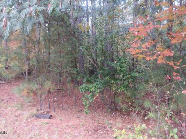 914 Taylors Chapel Rd, Bear Creek, NC 27207 | MLS #10136