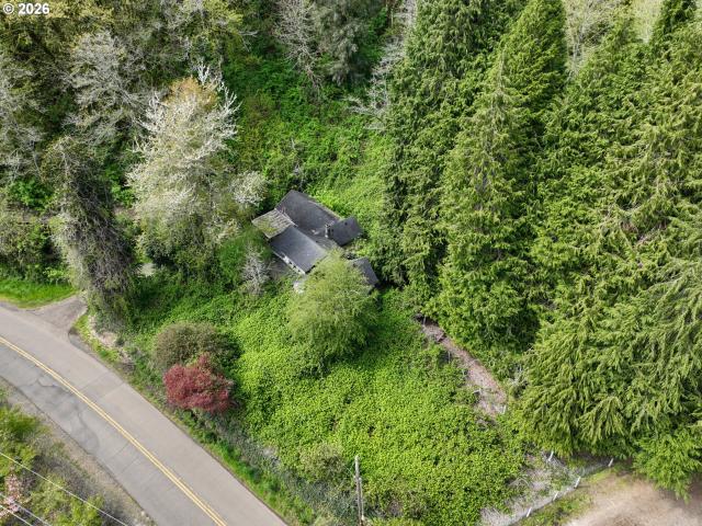 9150 kilchis river rd