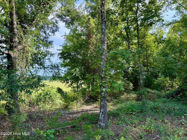 9153 Highway 28 South S